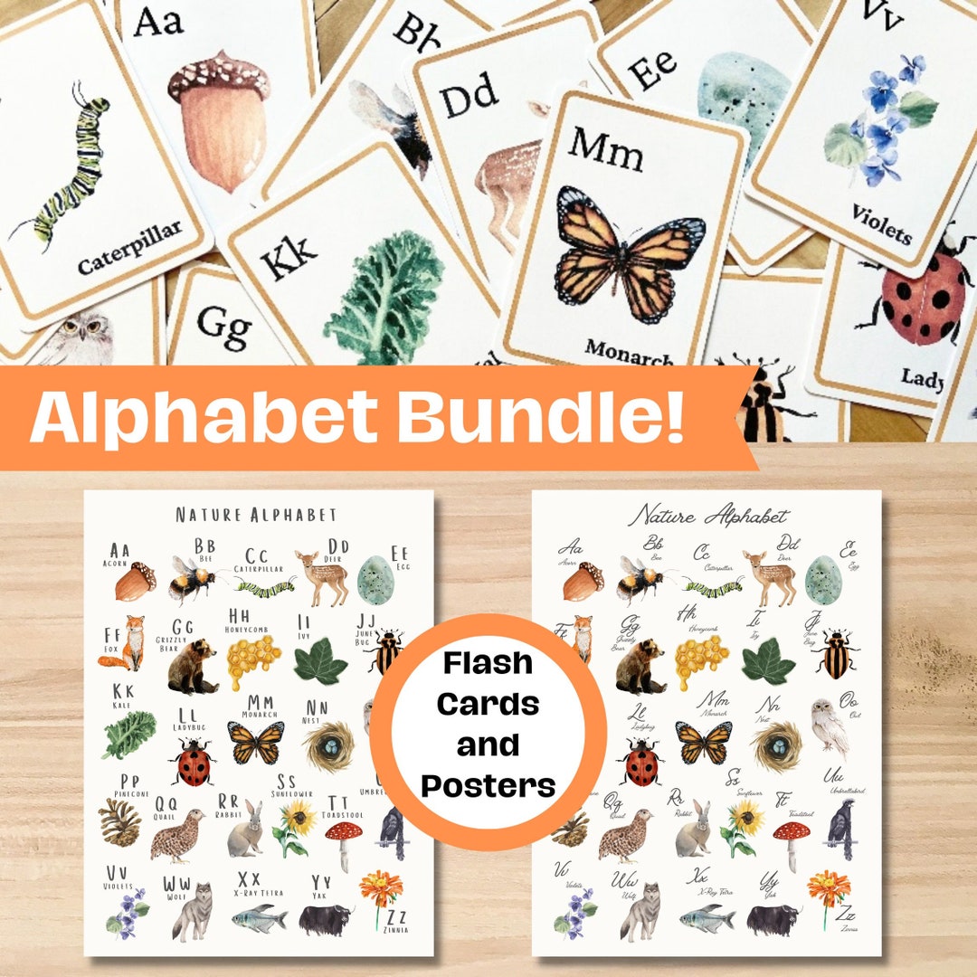 Alphabet BUNDLE Printable ABC Flash Cards Charlotte Mason Printable ABC ...