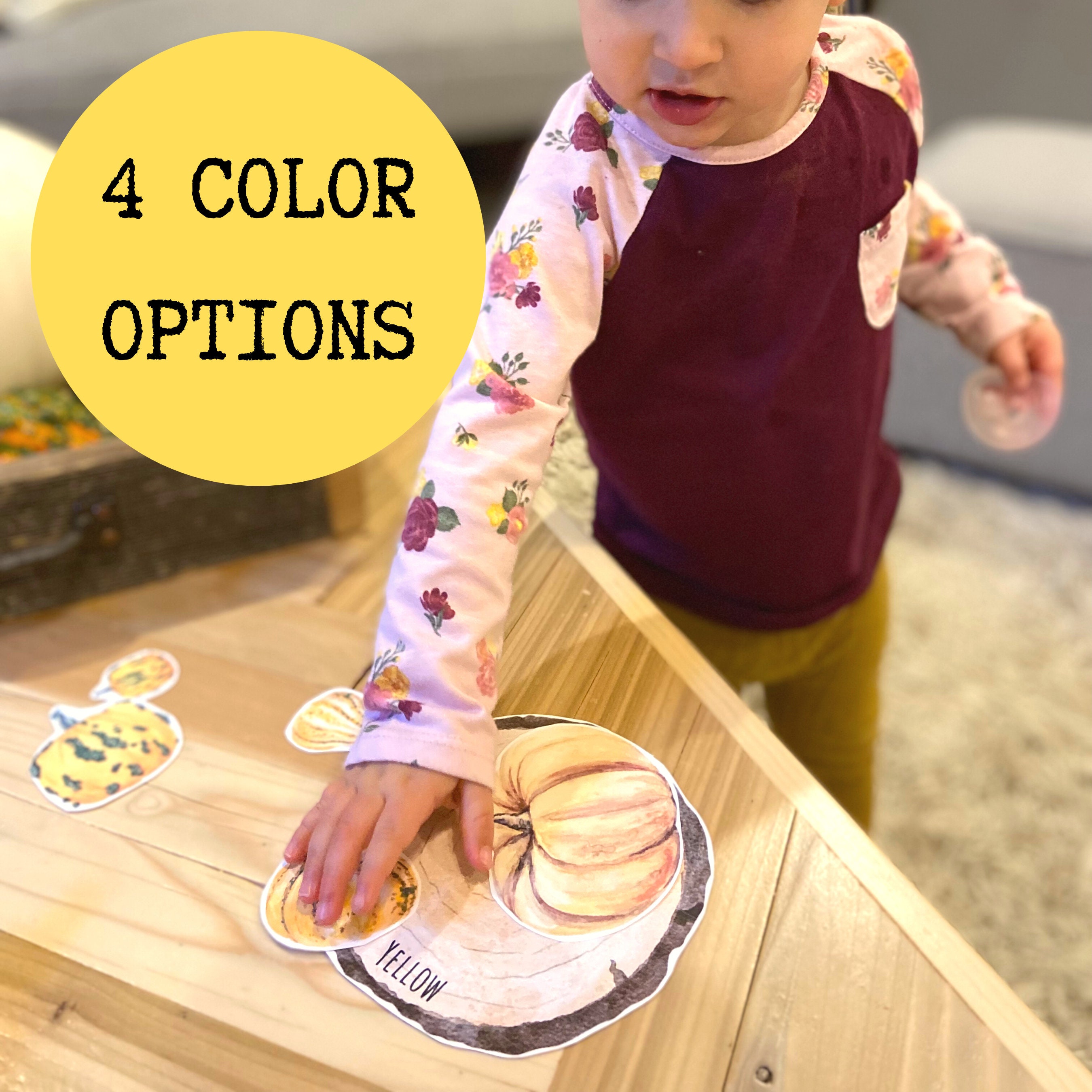 Pumpkin Printable Pumpkin Color Sorting - Etsy