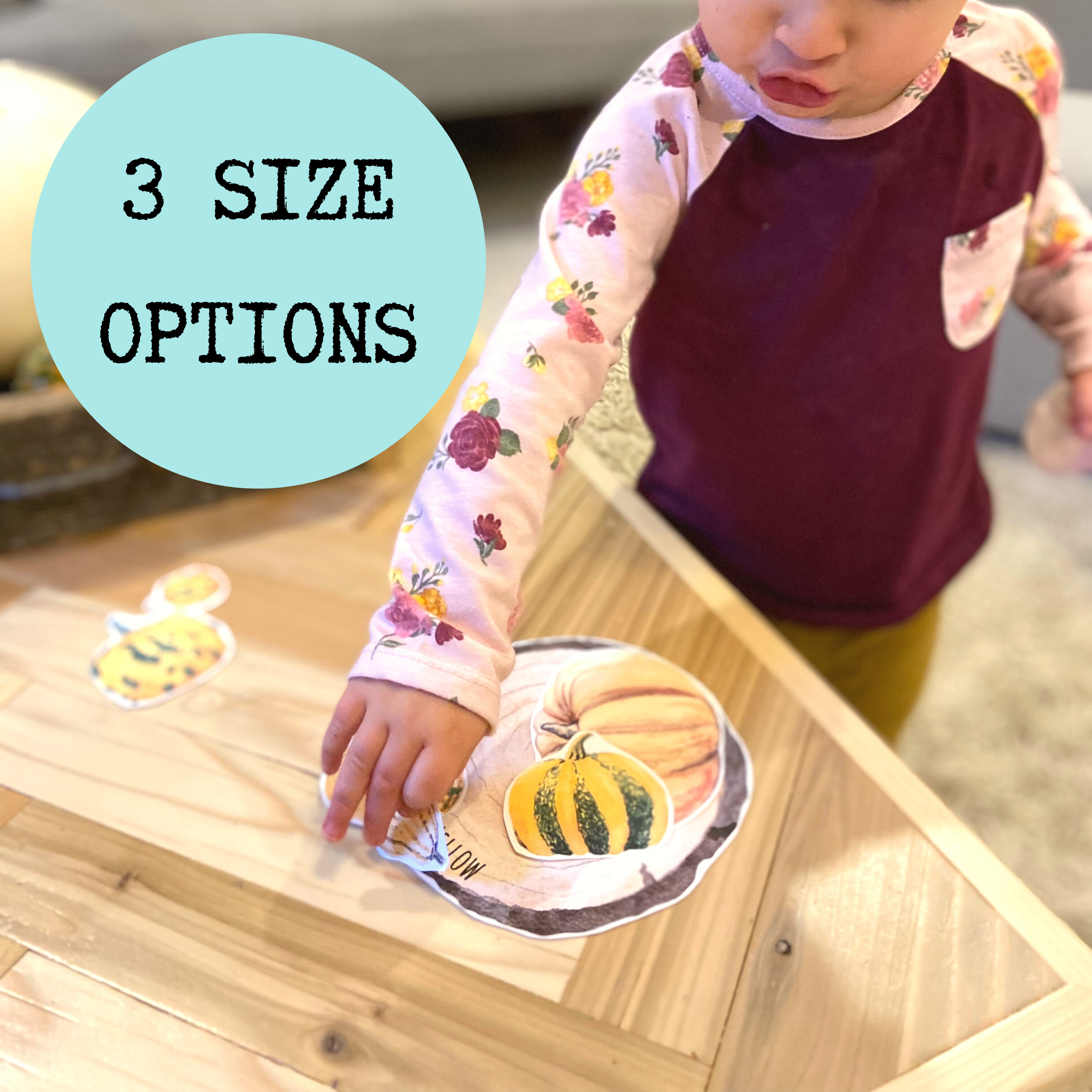 Pumpkin Printable Pumpkin Color Sorting - Etsy