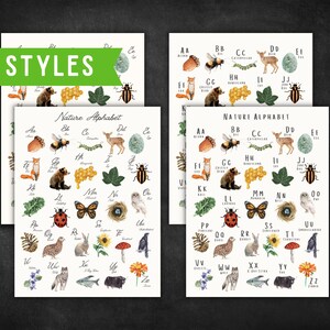 Alphabet BUNDLE Printable ABC Flash Cards Charlotte Mason Printable ABC ...