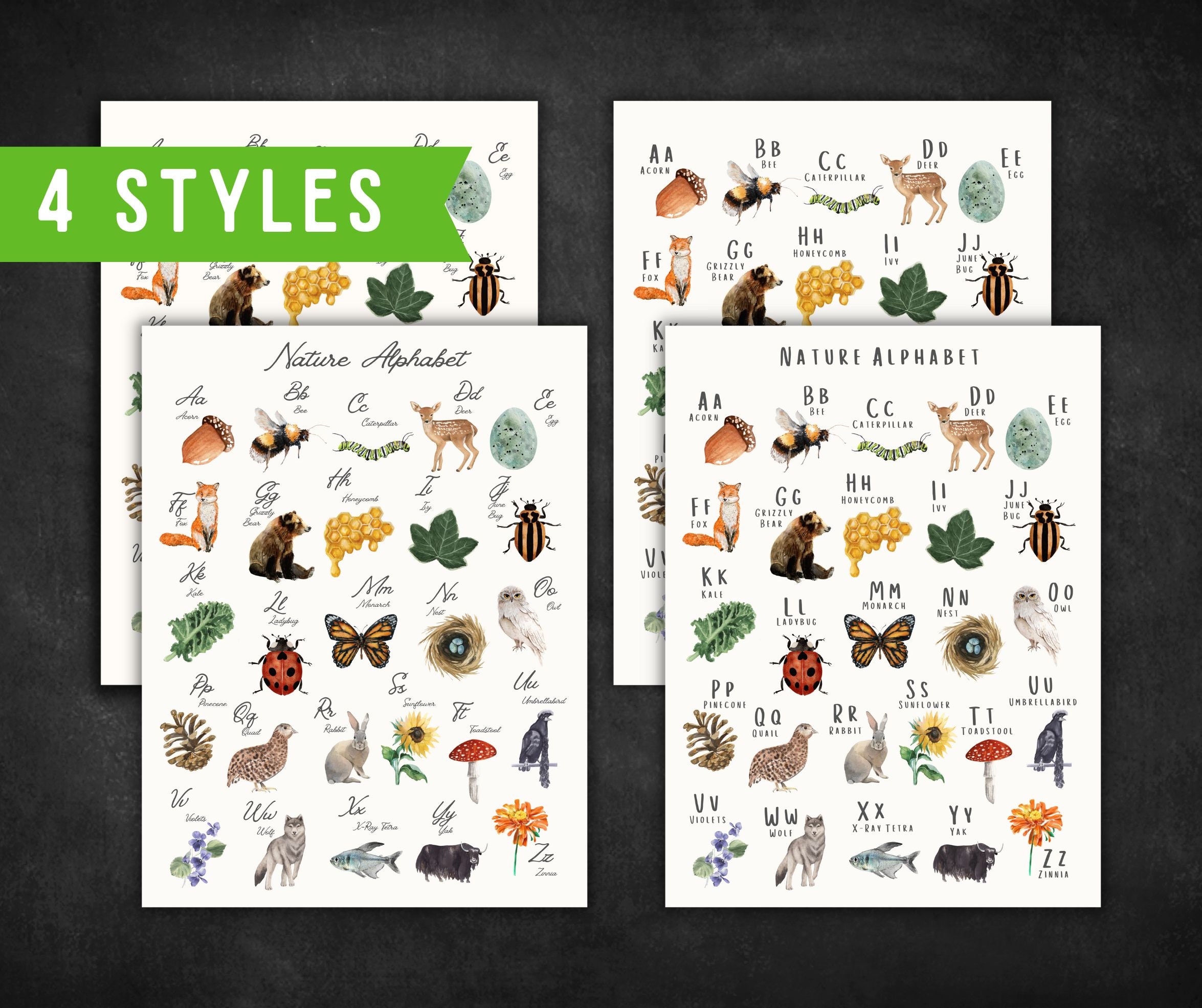 Alphabet BUNDLE Printable ABC Flash Cards Charlotte Mason - Etsy