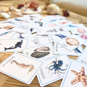 Ocean Printable Marine Life Flash Cards - Etsy
