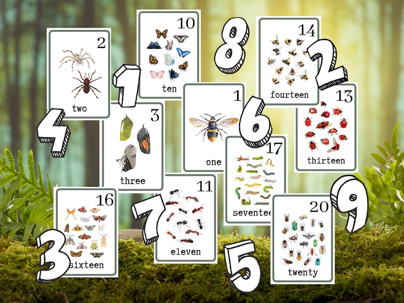 Number Flash Cards Charlotte Mason Bugs Insects Printable Kindergarten ...