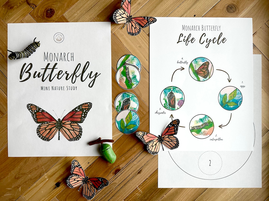 Butterfly Printable Monarch Bundle - Etsy
