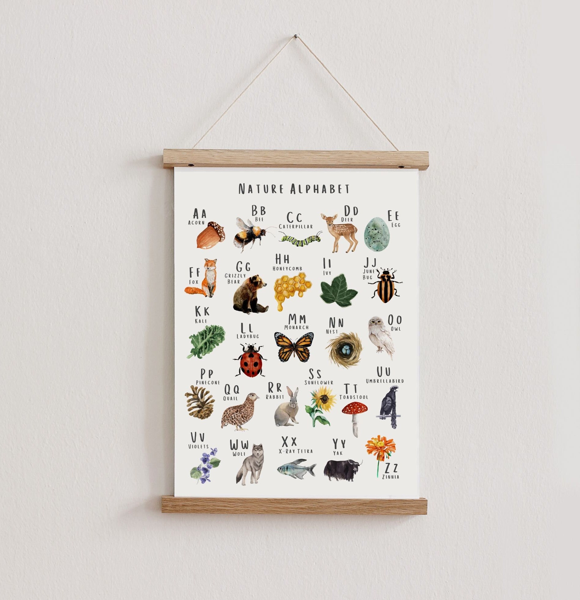 Alphabet BUNDLE Printable ABC Flash Cards Charlotte Mason - Etsy