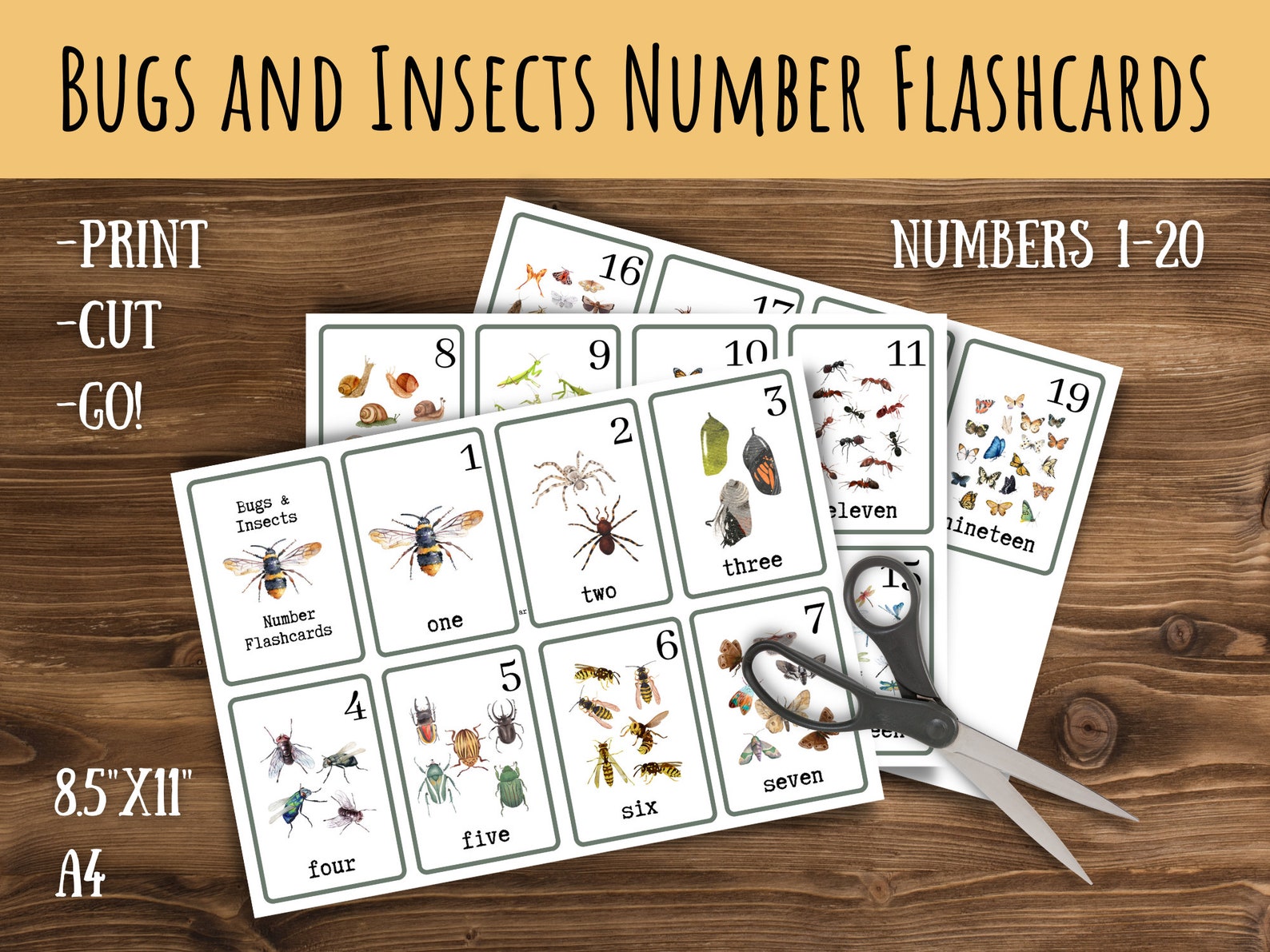 Flash Cards Number Printable Kindergarten Flash Cards Preschool Bugs ...