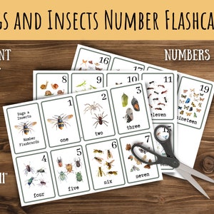 Number Flash Cards Charlotte Mason Bugs Insects Printable Kindergarten ...