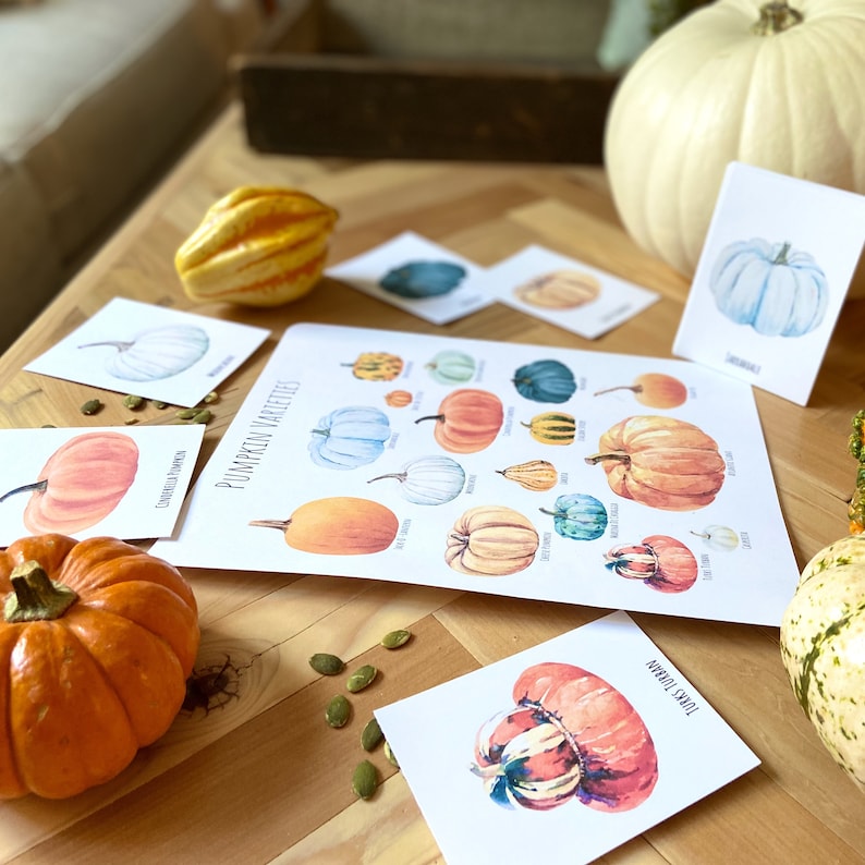 Fall Printable Pumpkin Poster Pumpkin Flashcards Halloween Printable - Etsy