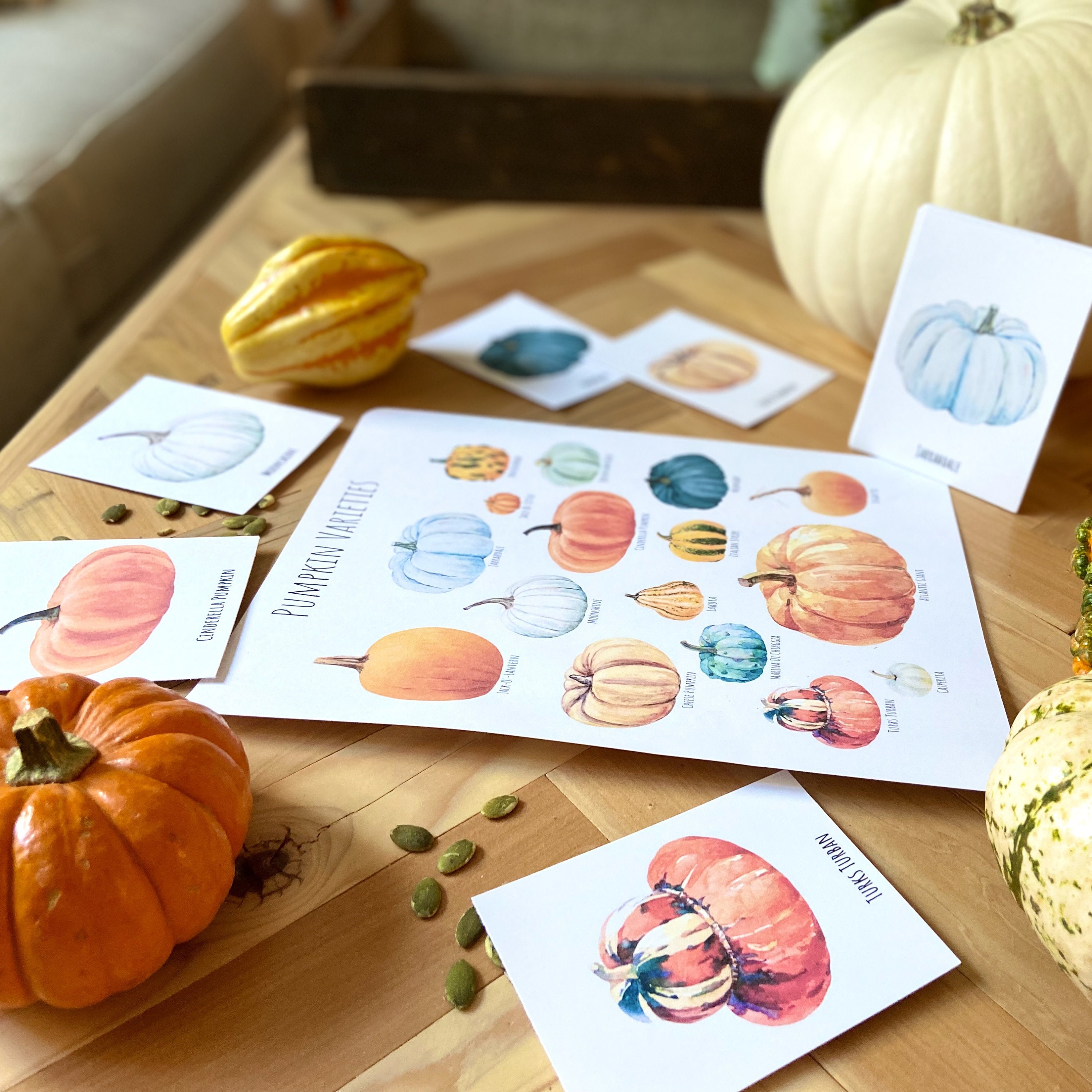 Fall Printable Pumpkin Poster Pumpkin Flashcards Halloween Printable - Etsy