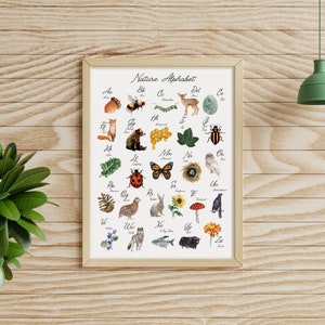 Alphabet BUNDLE Printable ABC Flash Cards Charlotte Mason Printable ABC ...