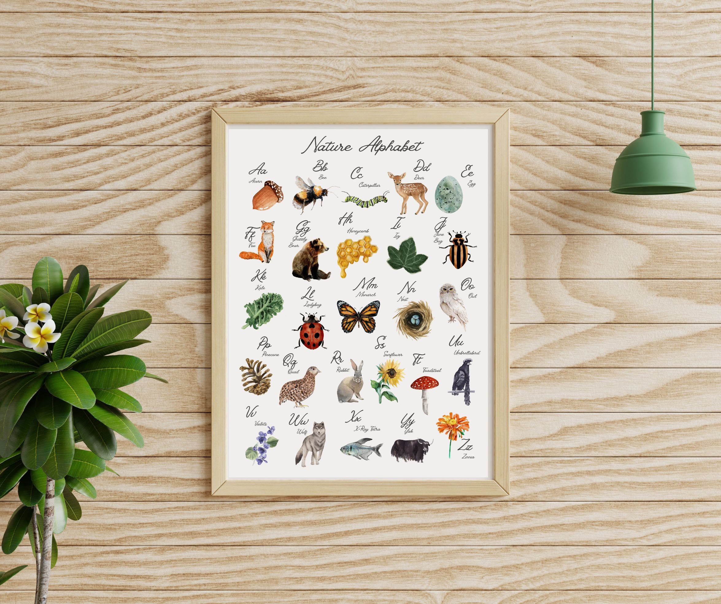 Alphabet BUNDLE Printable ABC Flash Cards Charlotte Mason - Etsy