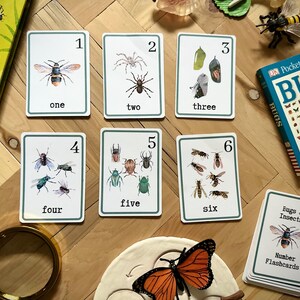 Number Flash Cards Charlotte Mason Bugs Insects Printable Kindergarten ...