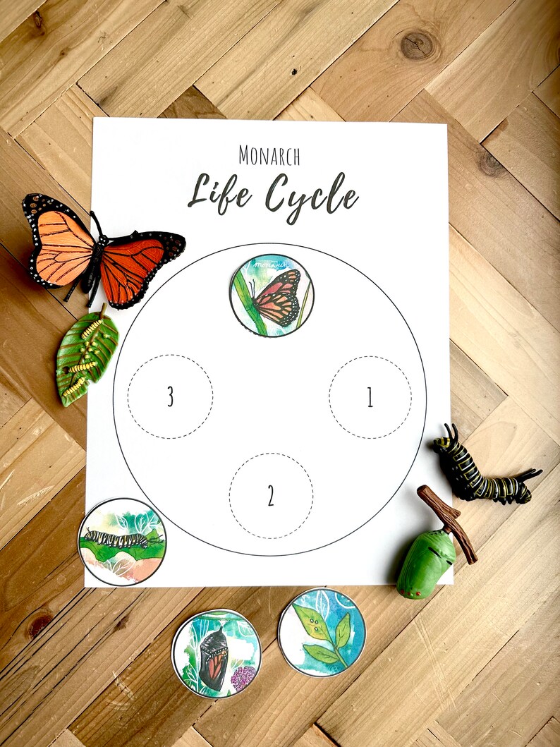 Butterfly Printable Monarch Bundle - Etsy