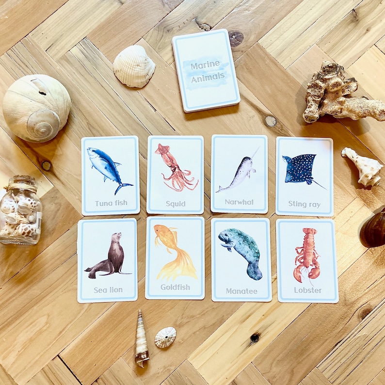 Editable Marine Life Flashcards Ocean Printable Digital Download ...