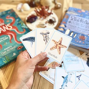 Ocean Printable Marine Life Flash Cards - Etsy