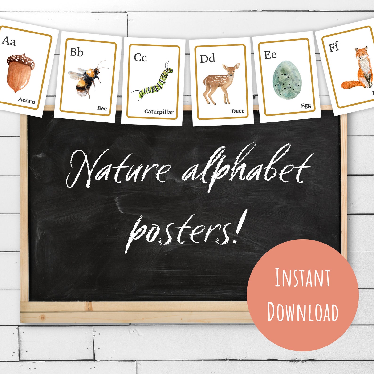 Alphabet Banner Kindergarten Bunting Charlotte Mason Nature Posters ...