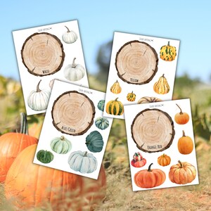 Pumpkin Printable Pumpkin Color Sorting - Etsy