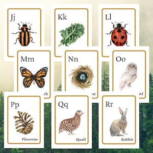 Alphabet Banner Kindergarten Bunting Charlotte Mason Nature Posters ...