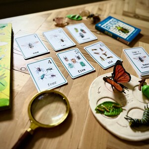 Flash Cards Number Printable Kindergarten Flash Cards Preschool Bugs ...
