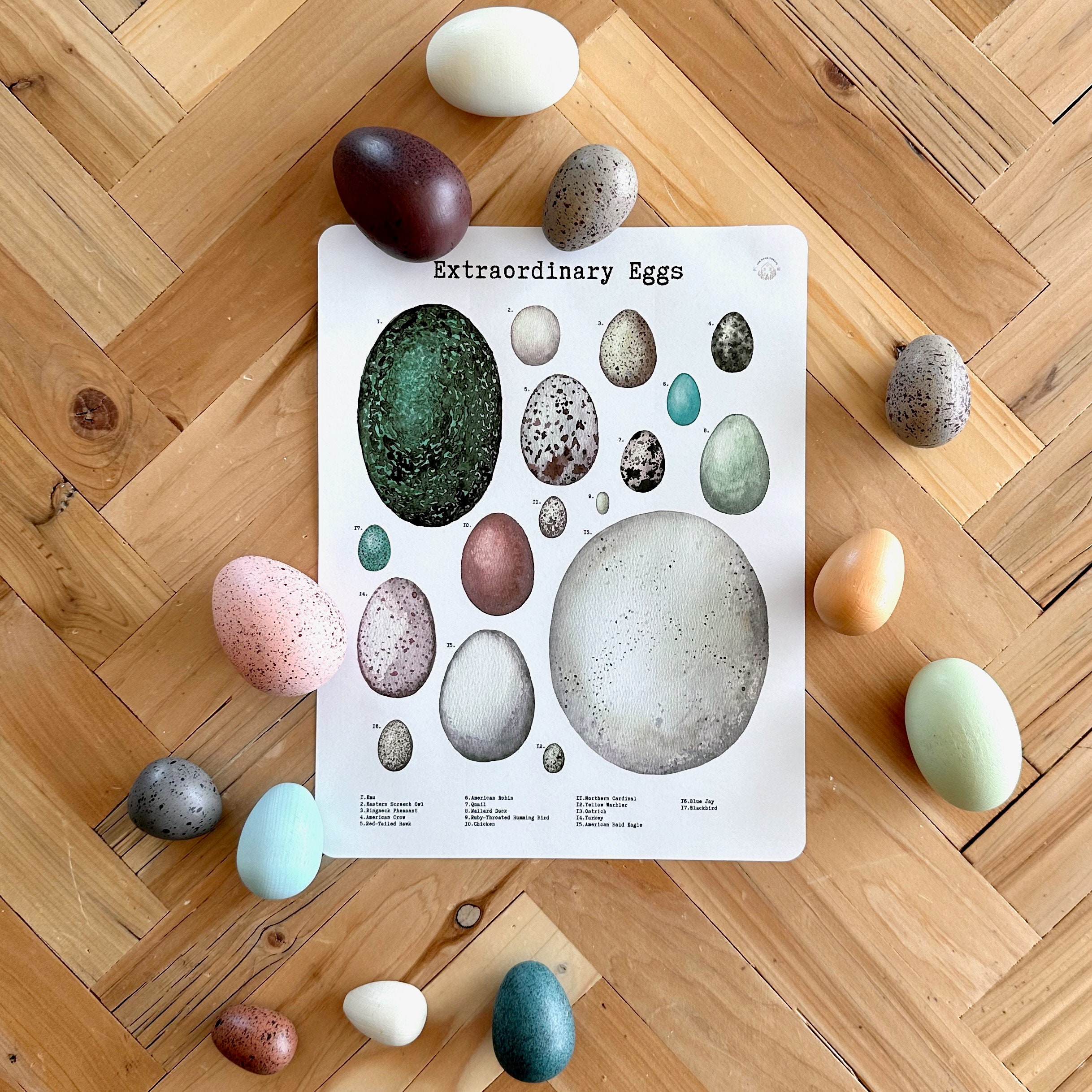 Egg Poster Spring Nature Printable Bird Egg Spring Classroom Decor ...