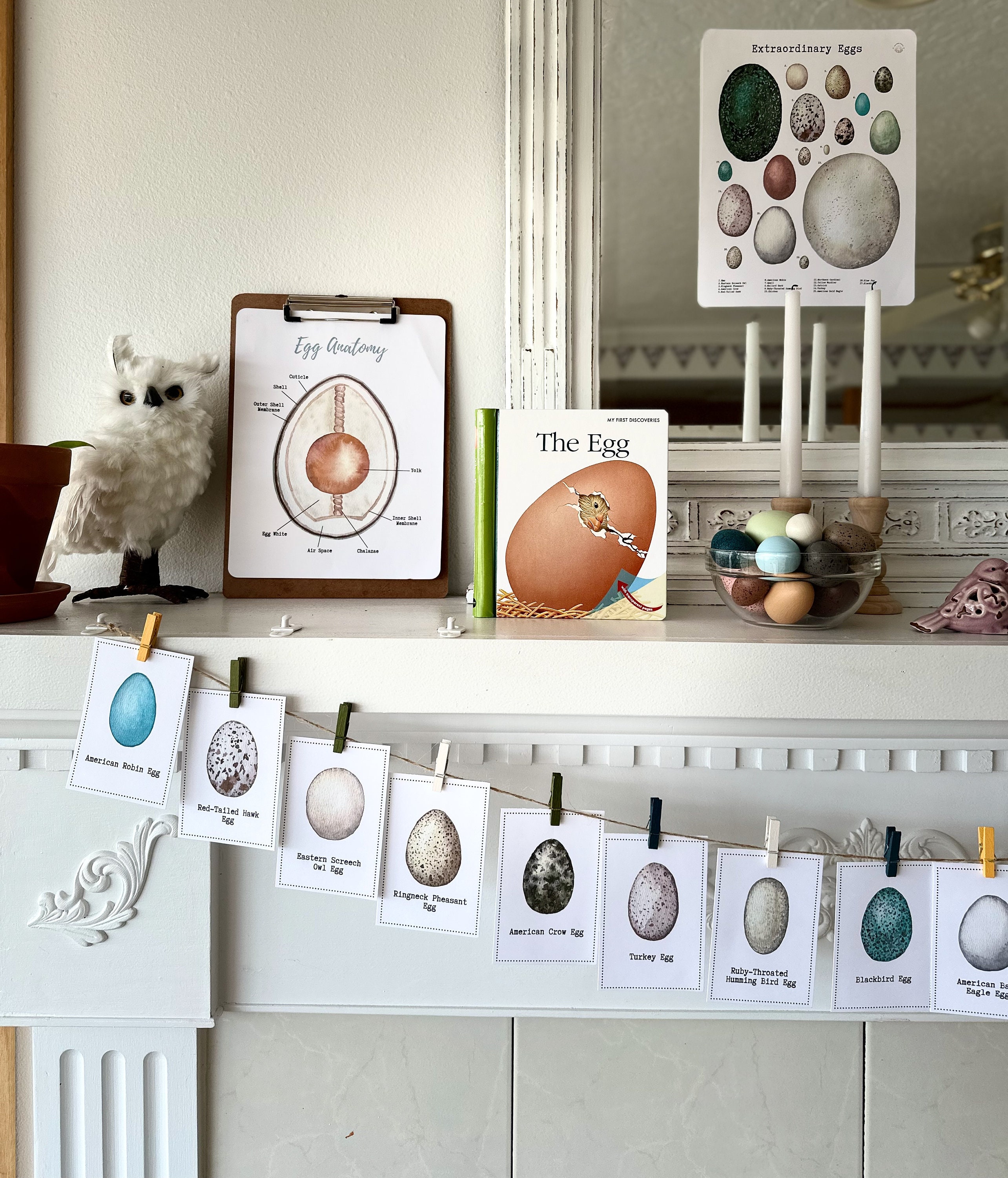 Spring Printable Flash Cards Easter Egg Lesson Montessori Egg Nature ...