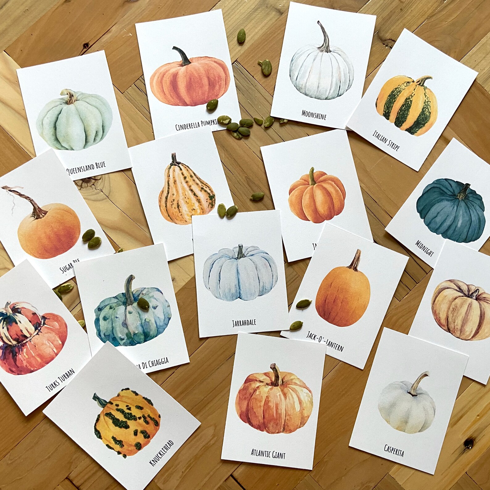 Fall Printable Pumpkin Poster Pumpkin Flashcards Halloween Printable - Etsy