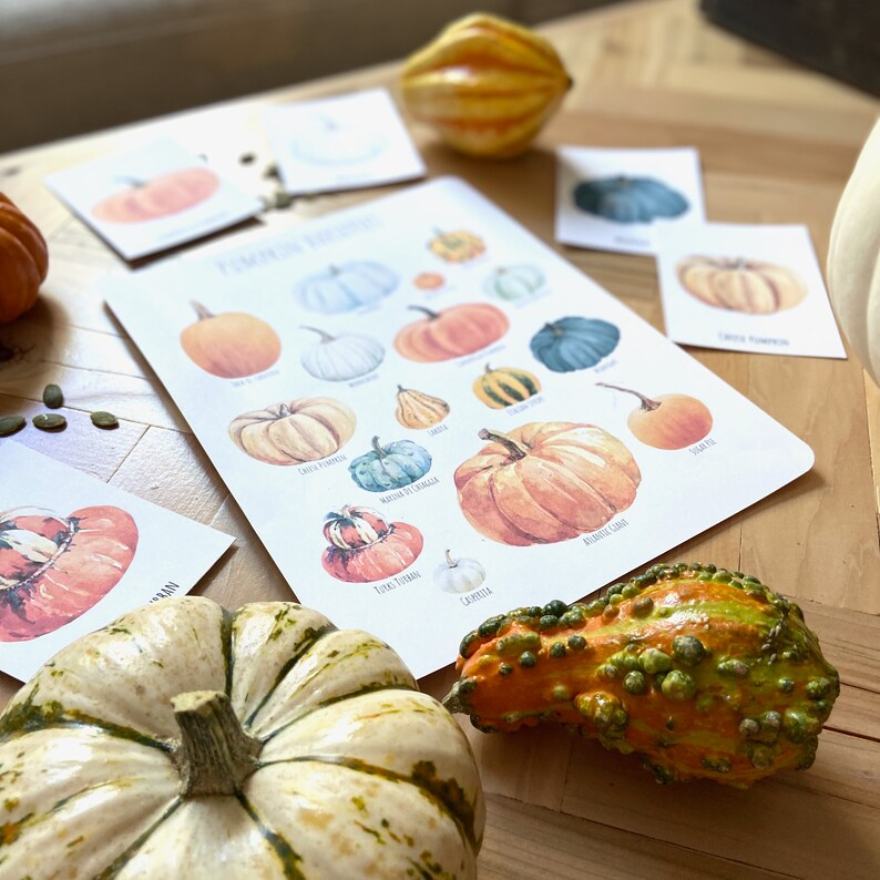 Fall Printable Pumpkin Poster Pumpkin Flashcards Halloween Printable - Etsy
