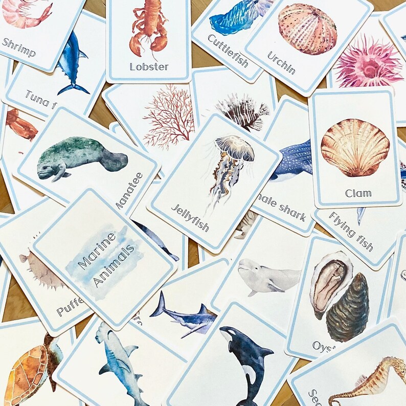 Editable Marine Life Flashcards Ocean Printable Digital Download ...