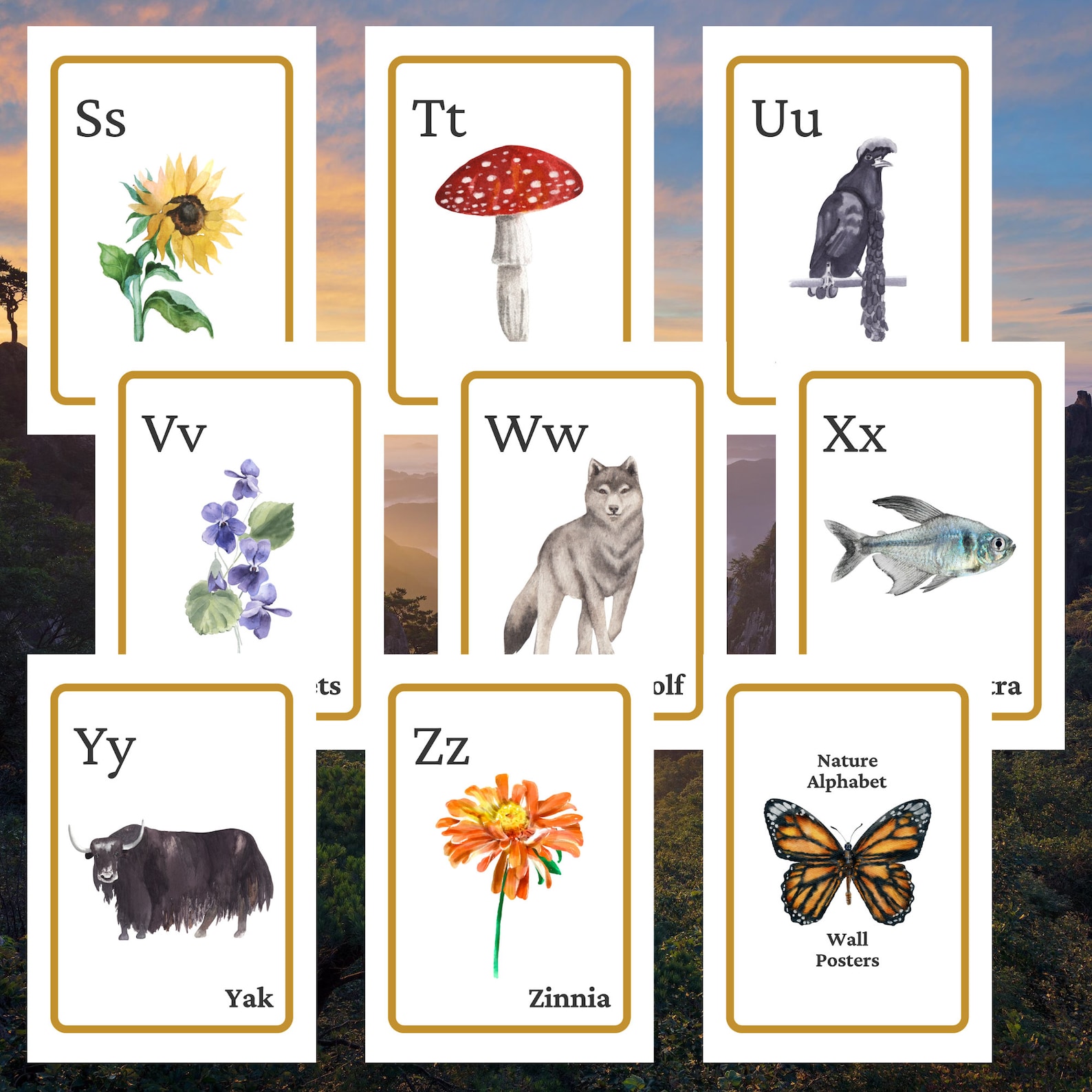 Alphabet Banner Kindergarten Bunting Charlotte Mason Nature Posters ...