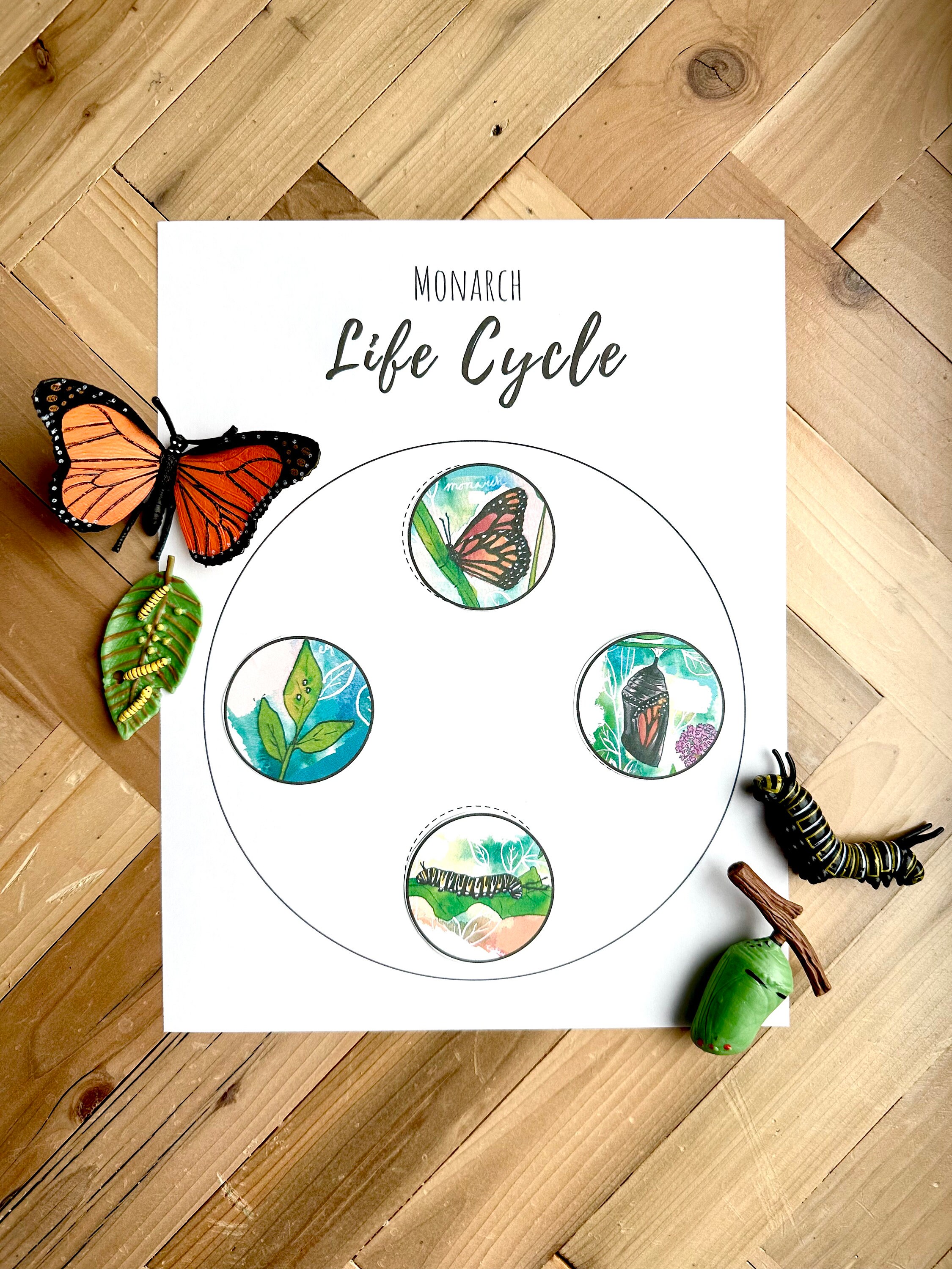 Butterfly Printable Monarch Bundle - Etsy