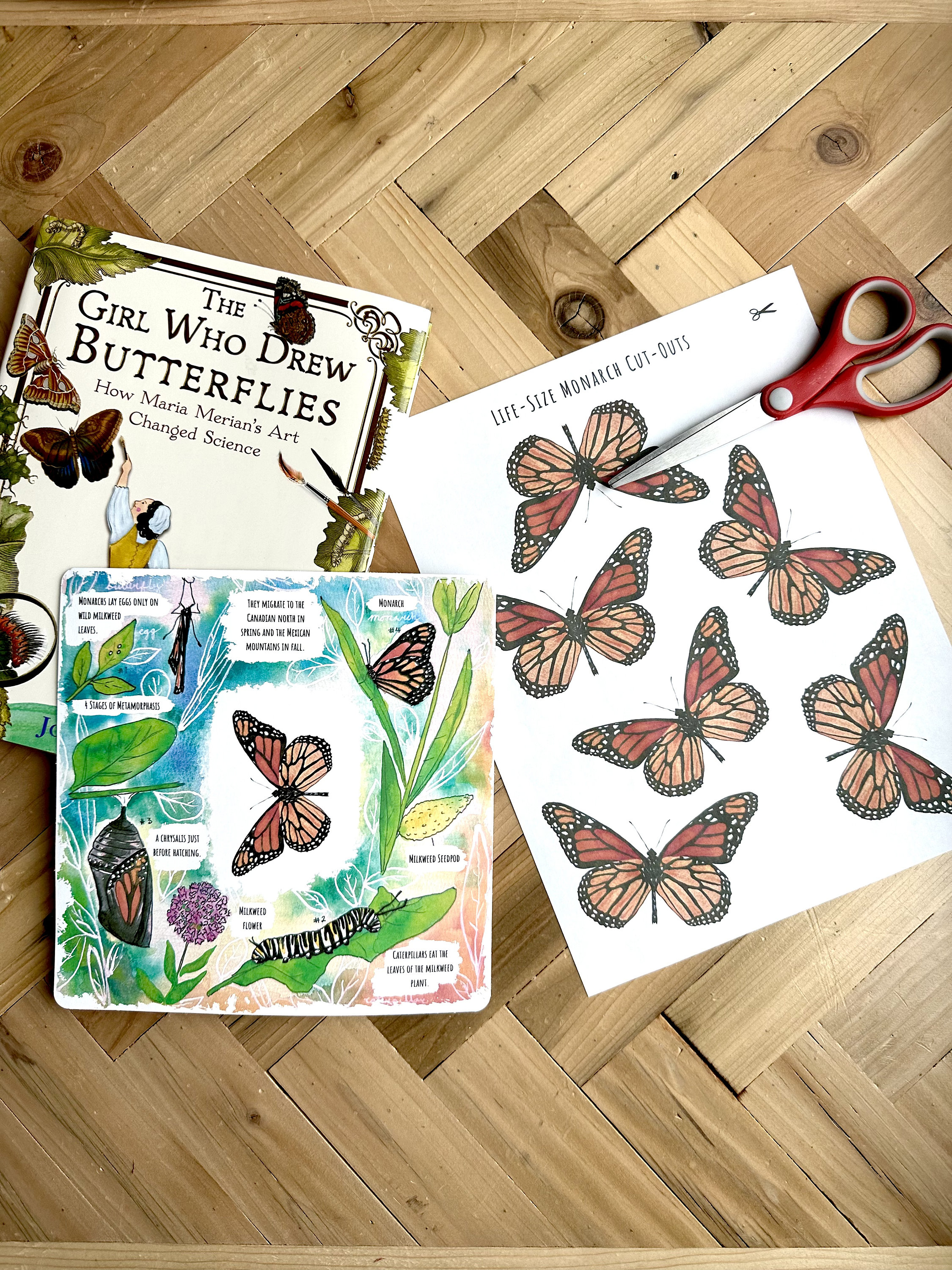 Butterfly Printable Monarch Bundle - Etsy