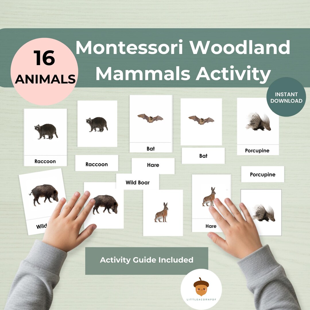 Montessori Woodland Mammals Flashcards With Real Photos - 16 Forest ...