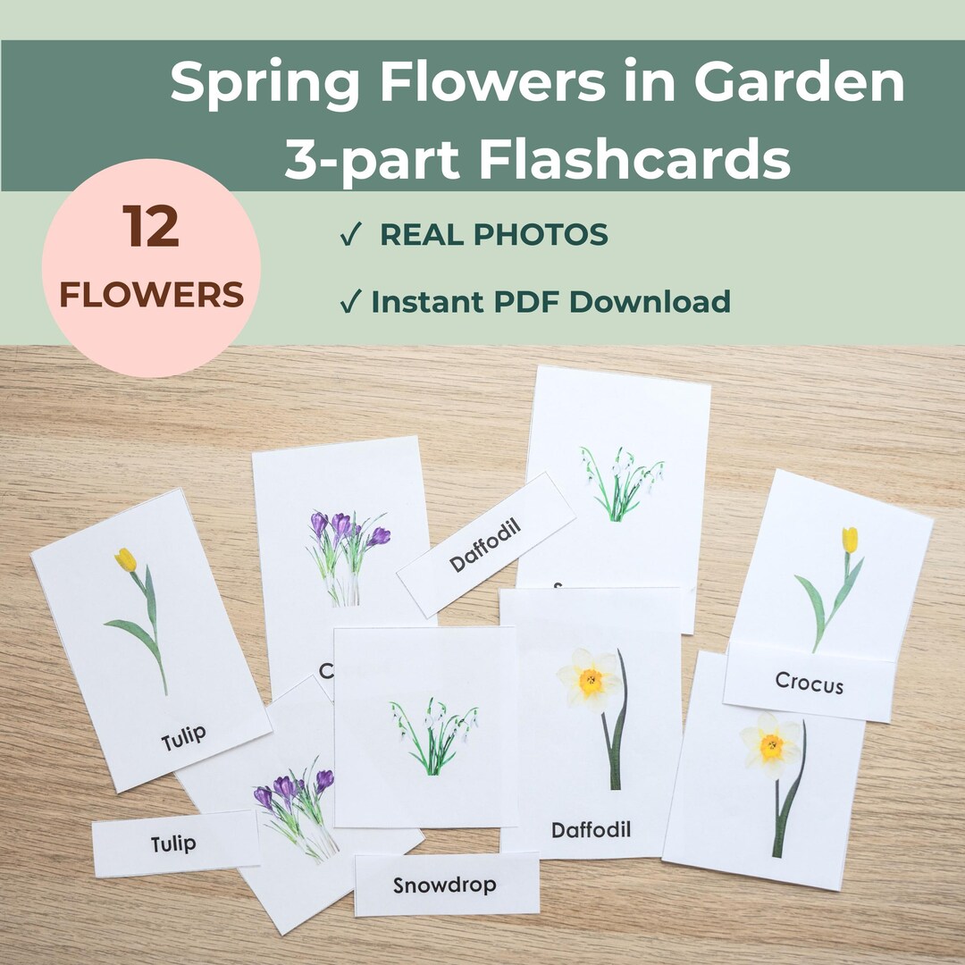 Spring Flower Montessori 3-part Cards - Realistic Photo Backyard Bulb ...
