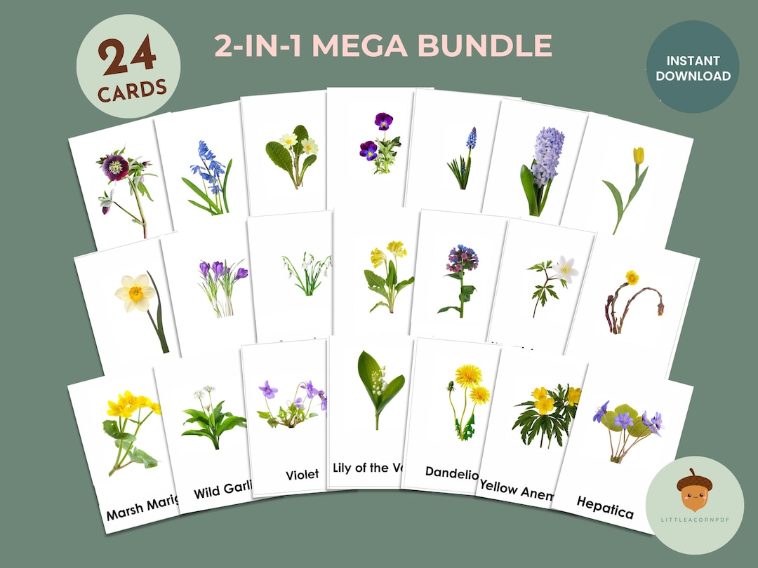 24 Spring Flower Montessori 3-part Cards Mega Bundle - Realistic Nature ...