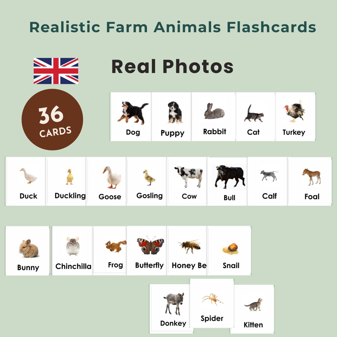 Realistic Farm Animals Flashcards UK English | Montessori Learning ...