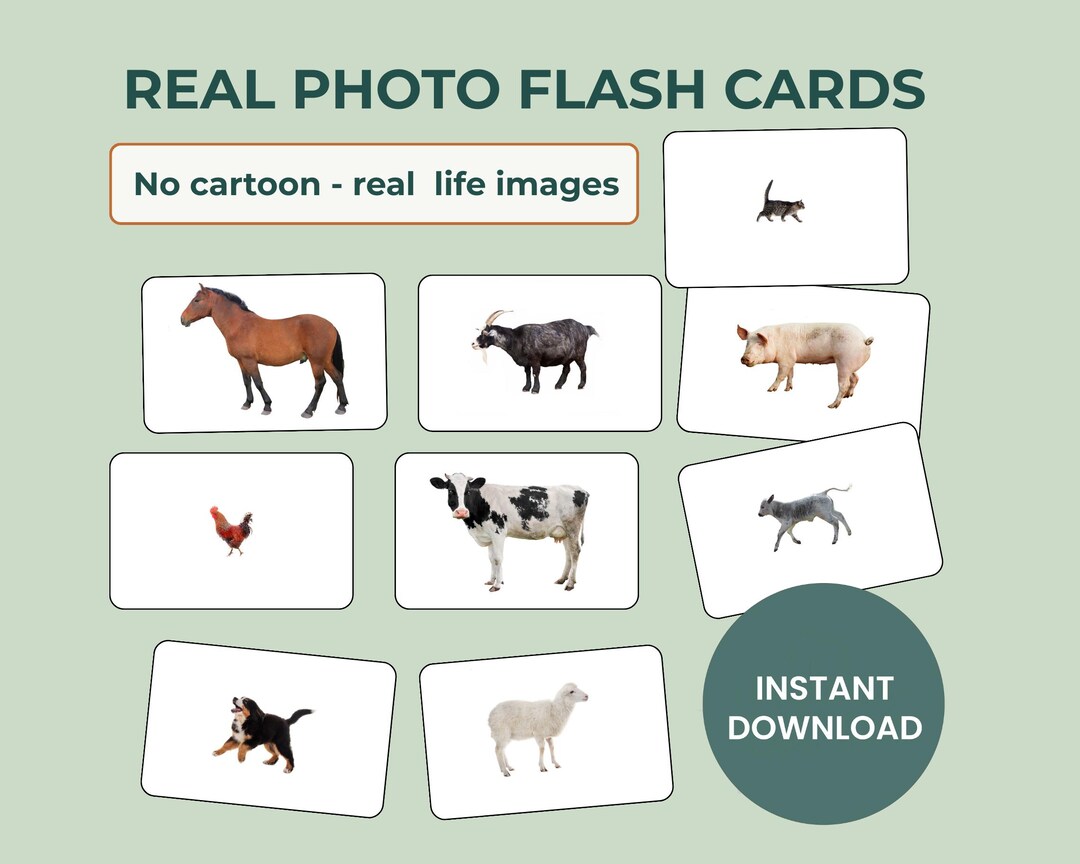Realistic Farm Animals Flashcards, Montessori Barnyard Real Photos ...