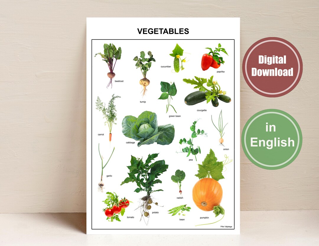 Montessori Vegetable Poster - Printable Homeschool Art, Real Photos ...