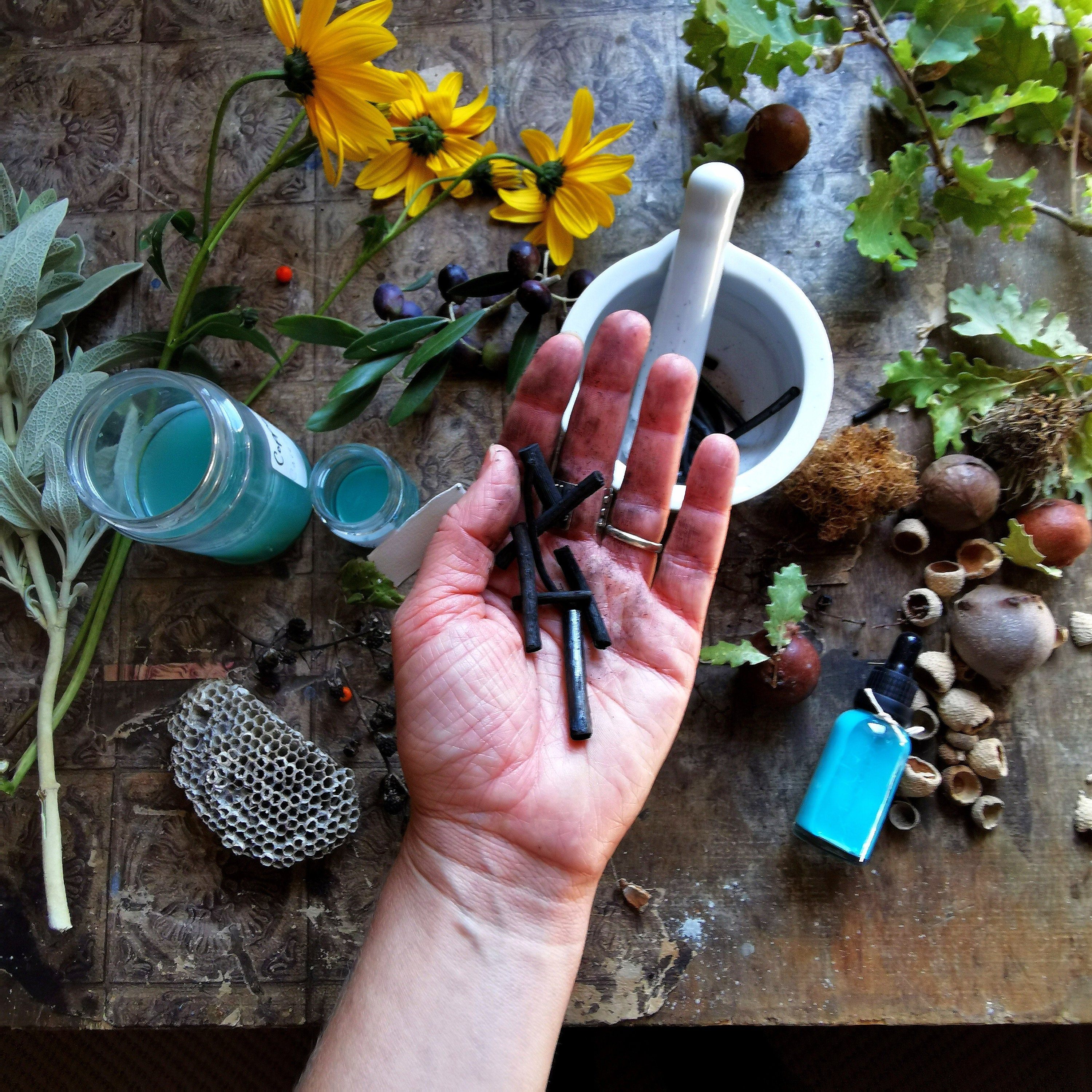 NATURAL INK KIT All You Need to Get Started Making Natural Inks at Home ...