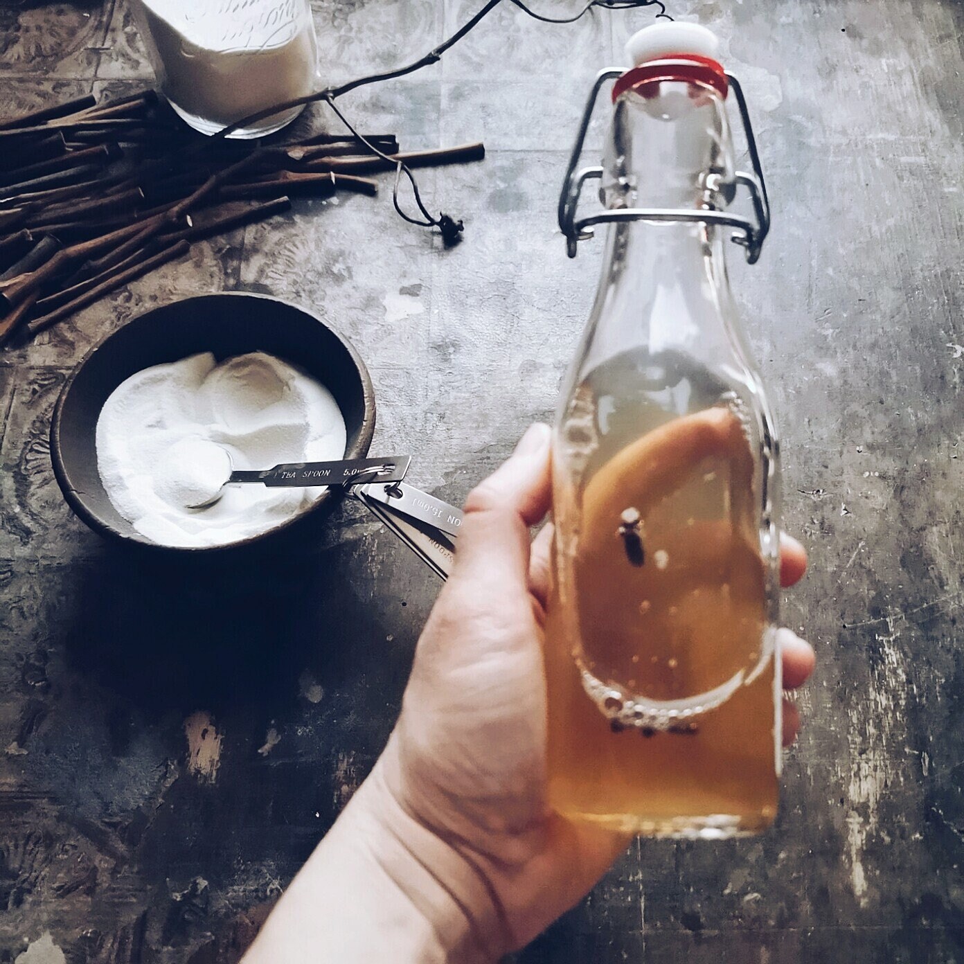 DIGITAL VERSION E-book Vine Black Ink Book How to Make - Etsy