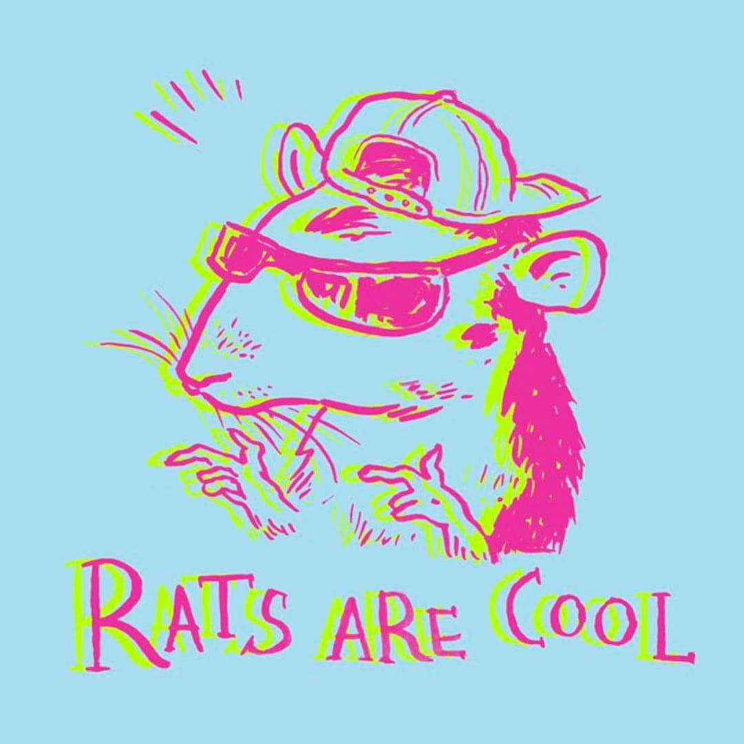 Rats Are Cool 3x3 Vinyl Sticker - Etsy