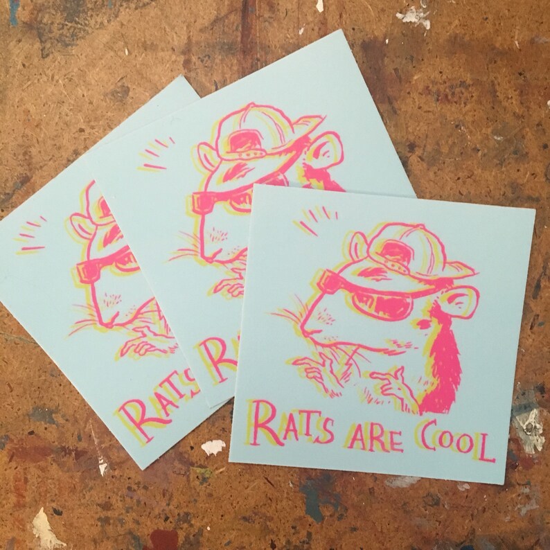 Rats Are Cool 3x3 Vinyl Sticker - Etsy