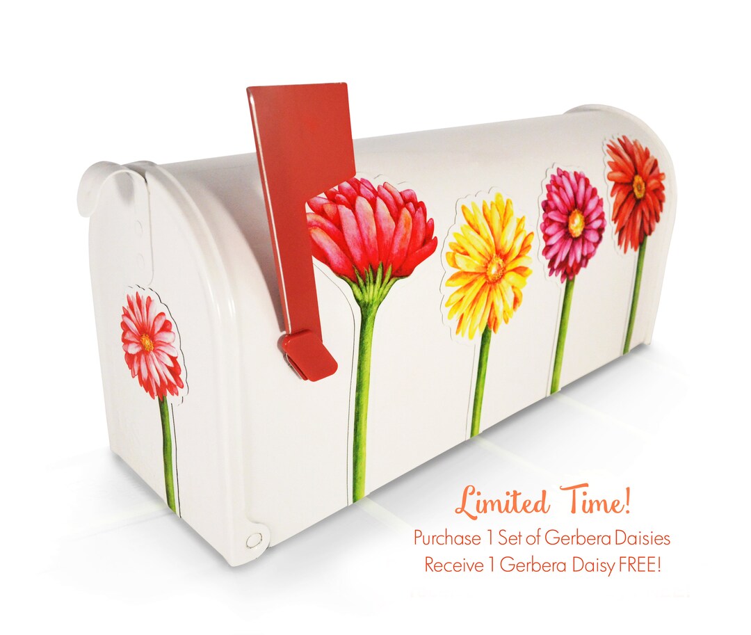 Mailbox Magnet Partial Cover, Set of 4 or 5 Colorful Gerbera Daisies ...