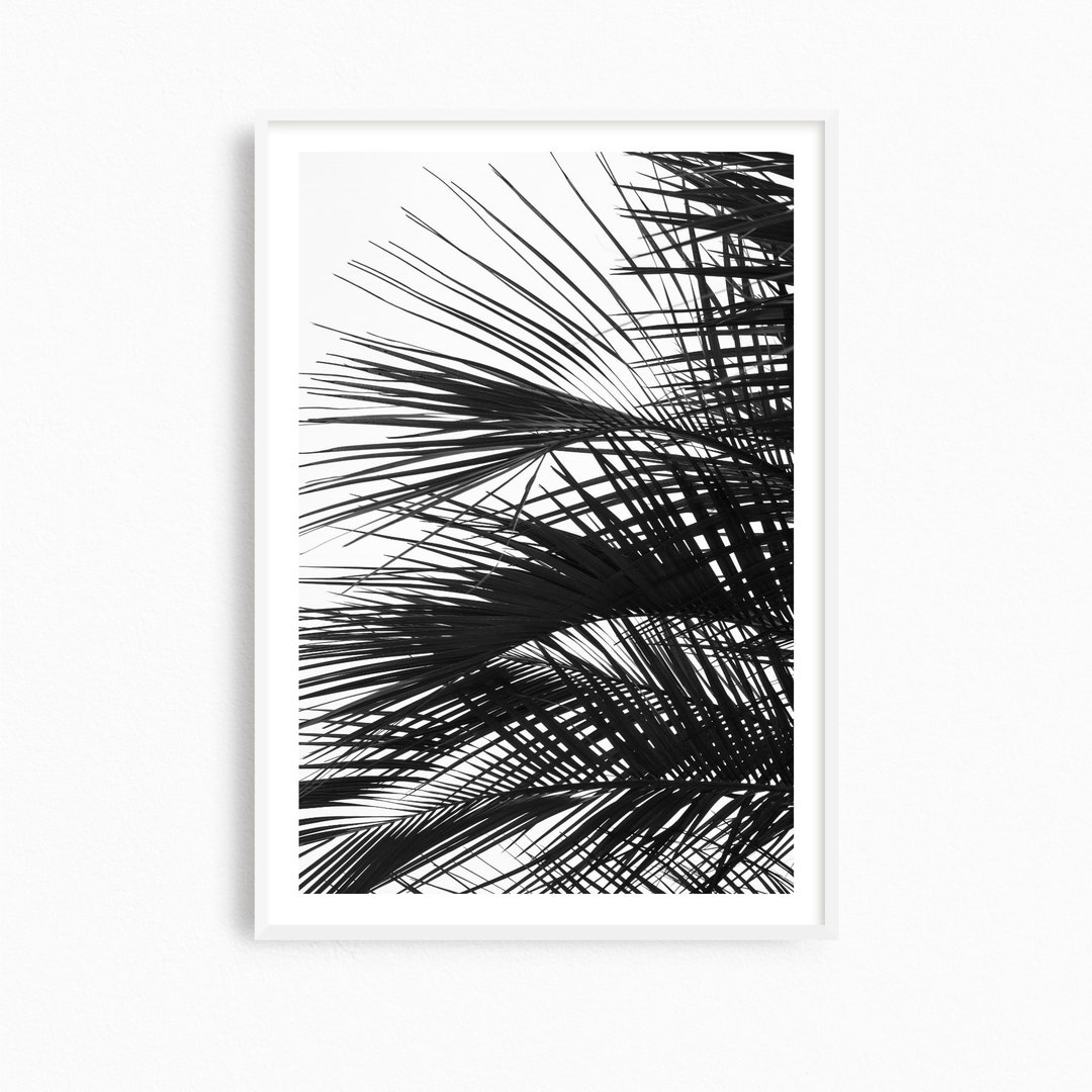 Large Palm Tree Wall Art, Minimalist Palm Tree Photograph. Oversized ...