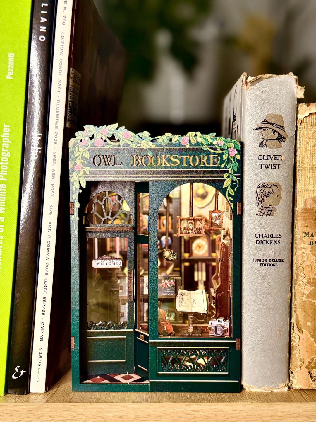 Made to Order Fully Assembled Completed Owl Bookstore Book Nook With ...