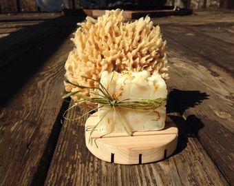 50 Hand Sanded Round Cedar Natural Wood Spa Soap Dishes | Etsy