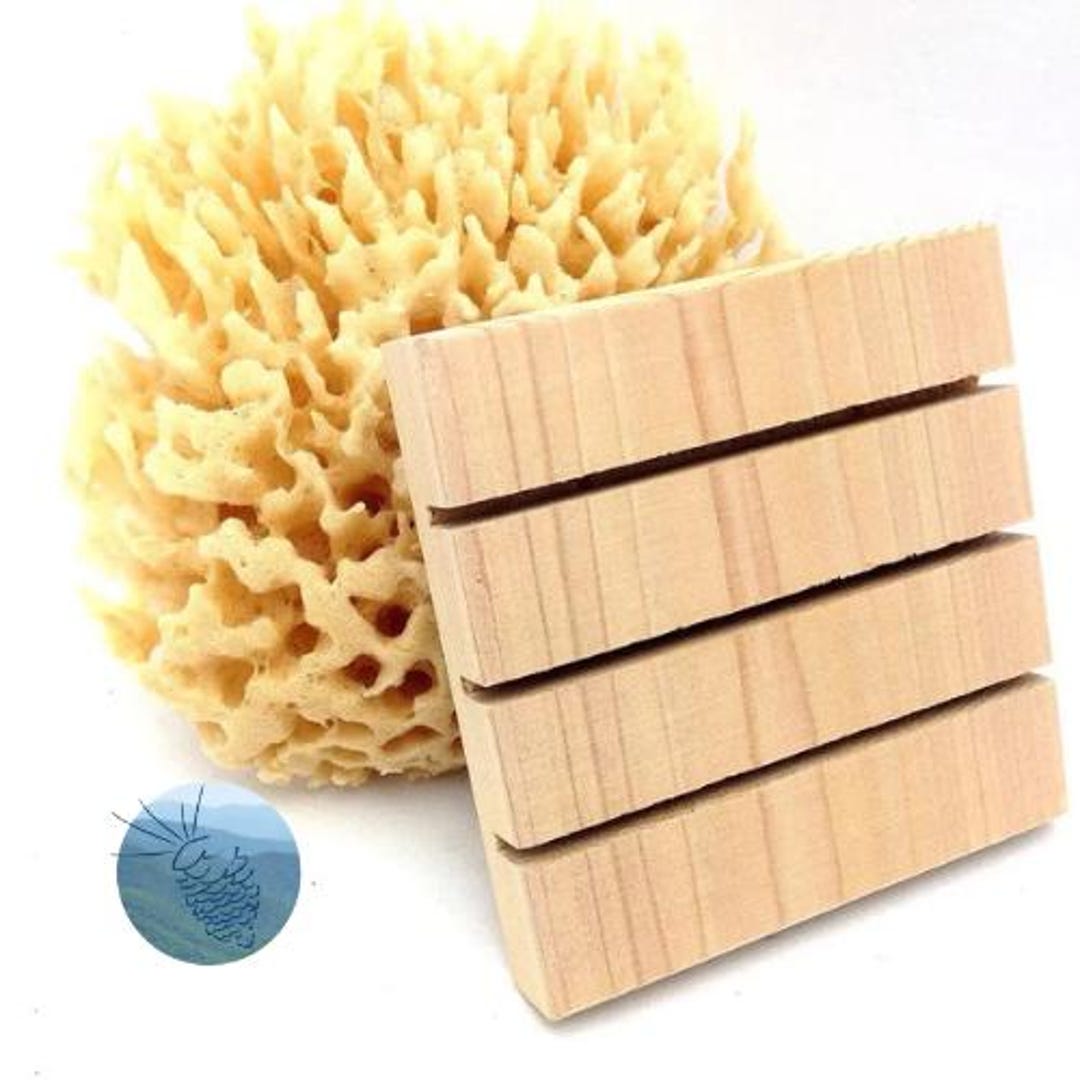 Cedar Wood Soap Dish: Natural Spa Shower Deck (set of 50) - Etsy