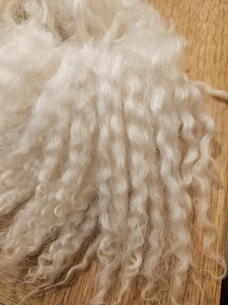 Valais Blacknose Raw Wool. Beautiful Soft Curly Wool From My Show Team ...