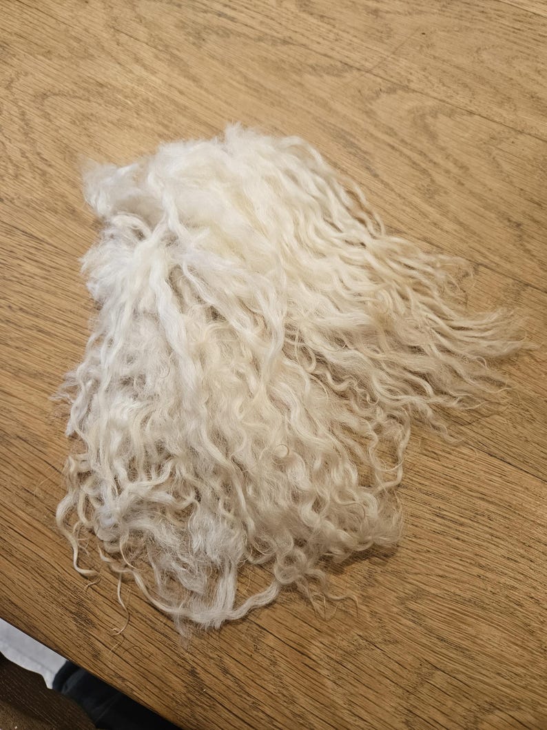 Valais Blacknose Raw Wool. Beautiful Soft Curly Wool From My Show Team ...