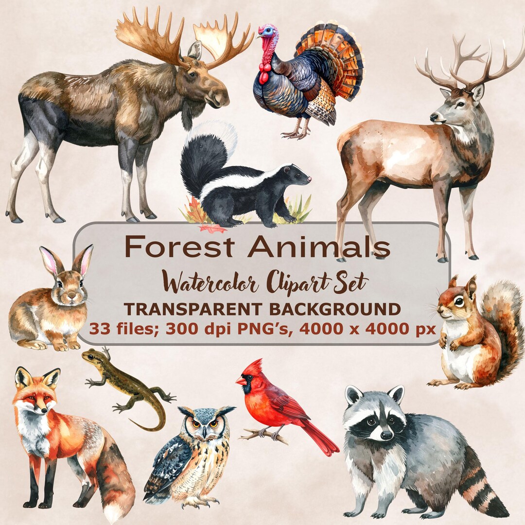 Woodland Animals Clipart Bundle Set: Watercolor Forest Wildlife PNG ...
