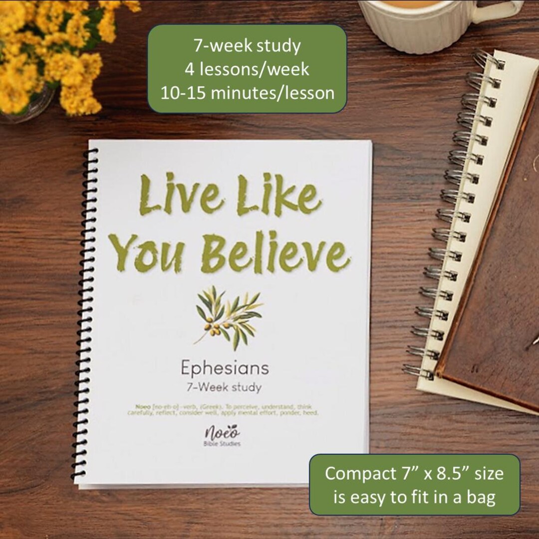 Ephesians Bible Study Workbook: 7-week Study, Spiral-bound With Daily ...